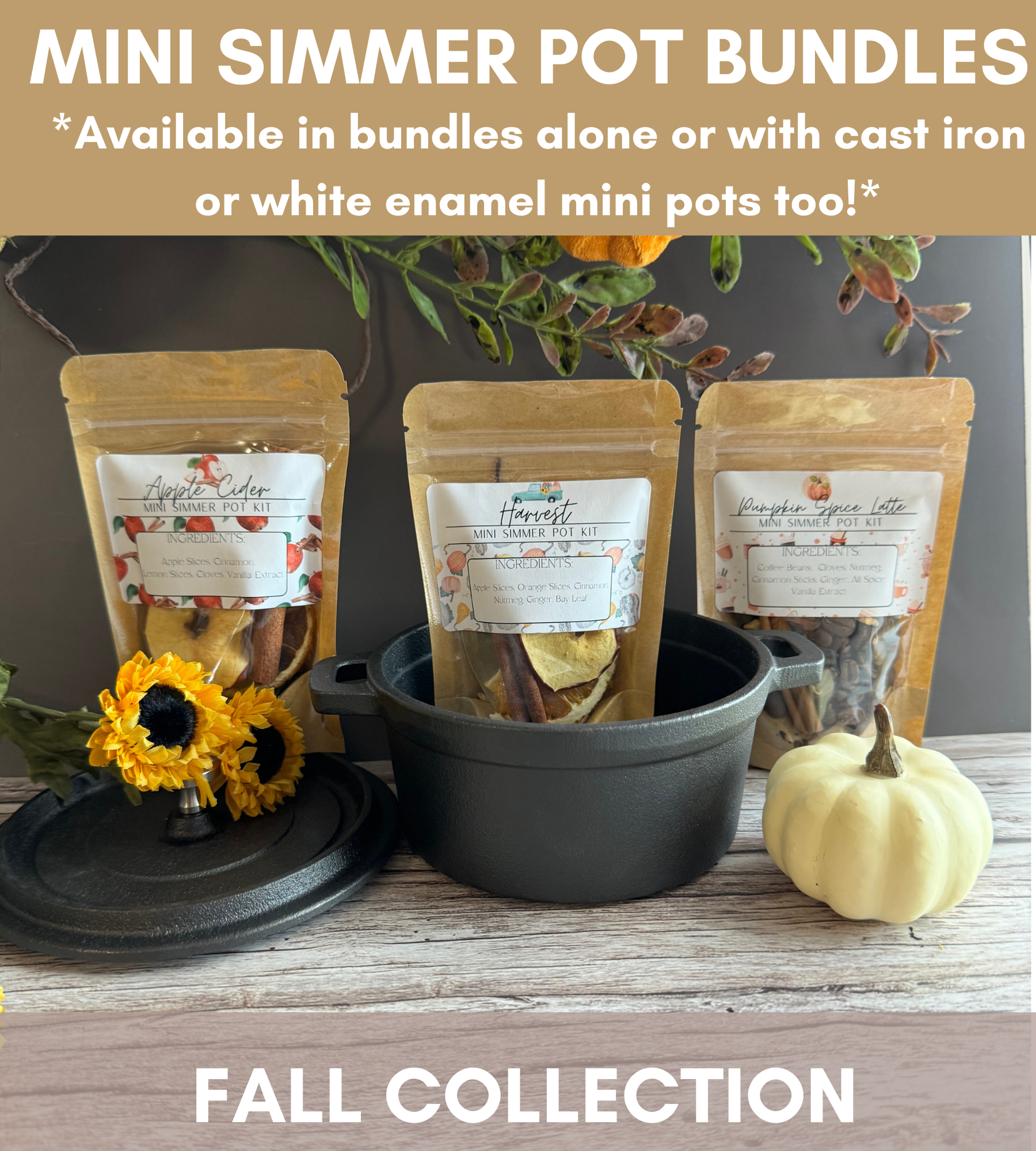 Fall Simmer Pot - Set of 3 Mini Kits (variety pack) – Life in The Heights